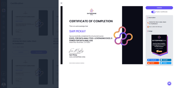 Enterprise DNA: Master Data Skills + AI