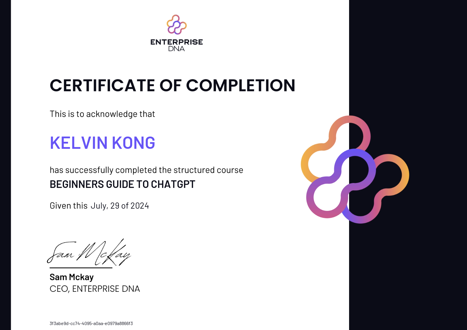 Enterprise DNA Certification | Kelvin Kong