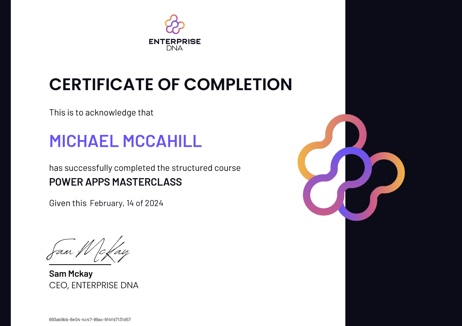Enterprise DNA Certification | Michael Mccahill
