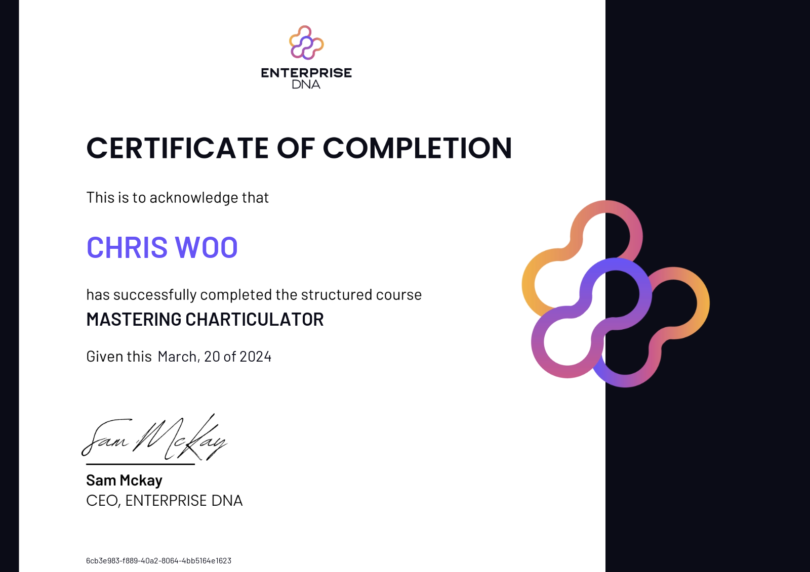 Enterprise DNA Certification | Chris Woo
