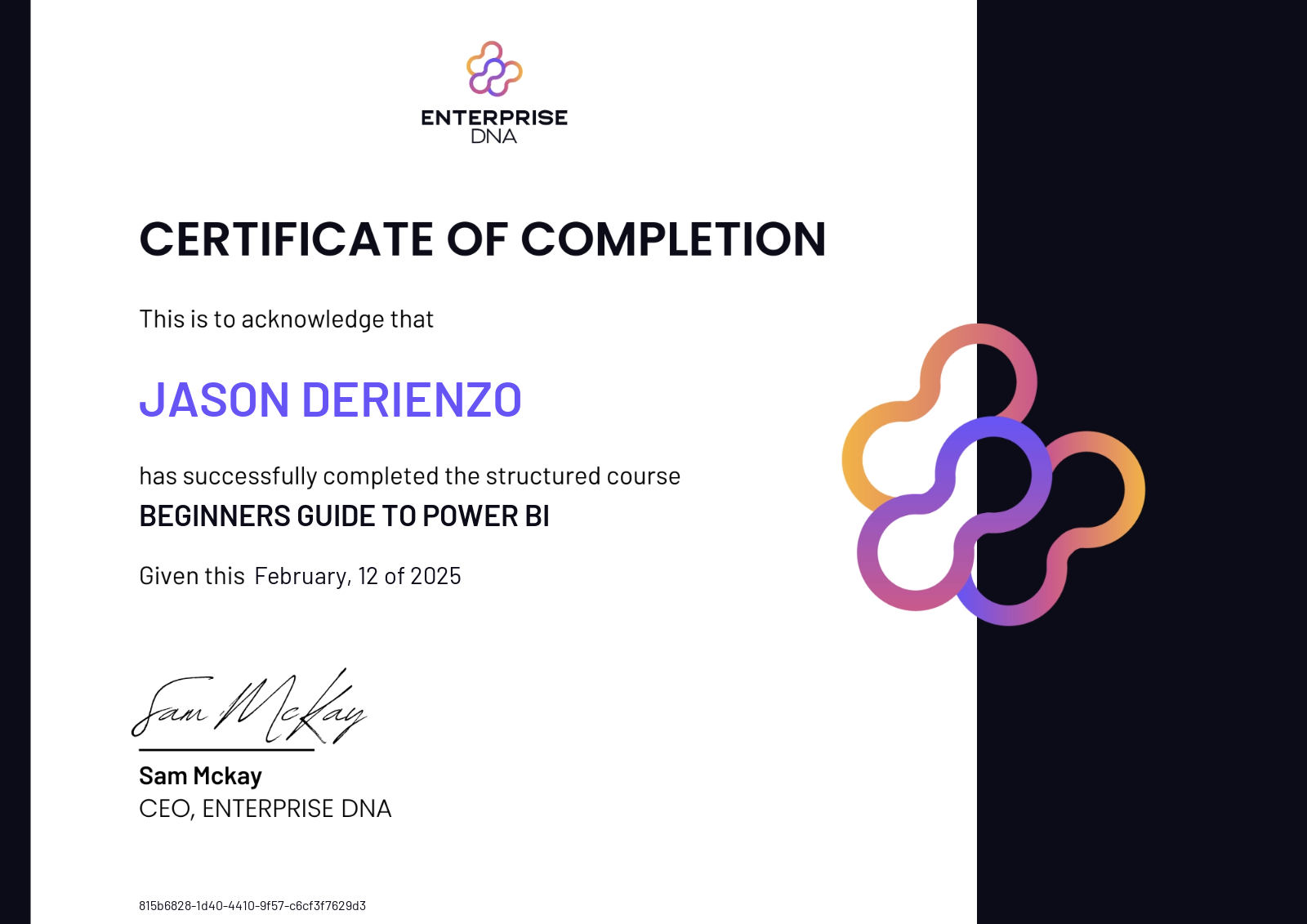 Enterprise DNA Certification | Jason DeRienzo